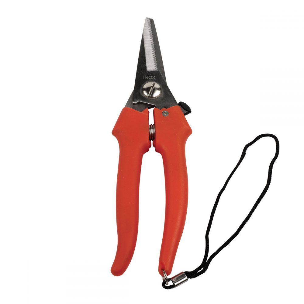 Grape scissors 1650 / 1850 with scabbard - Falket