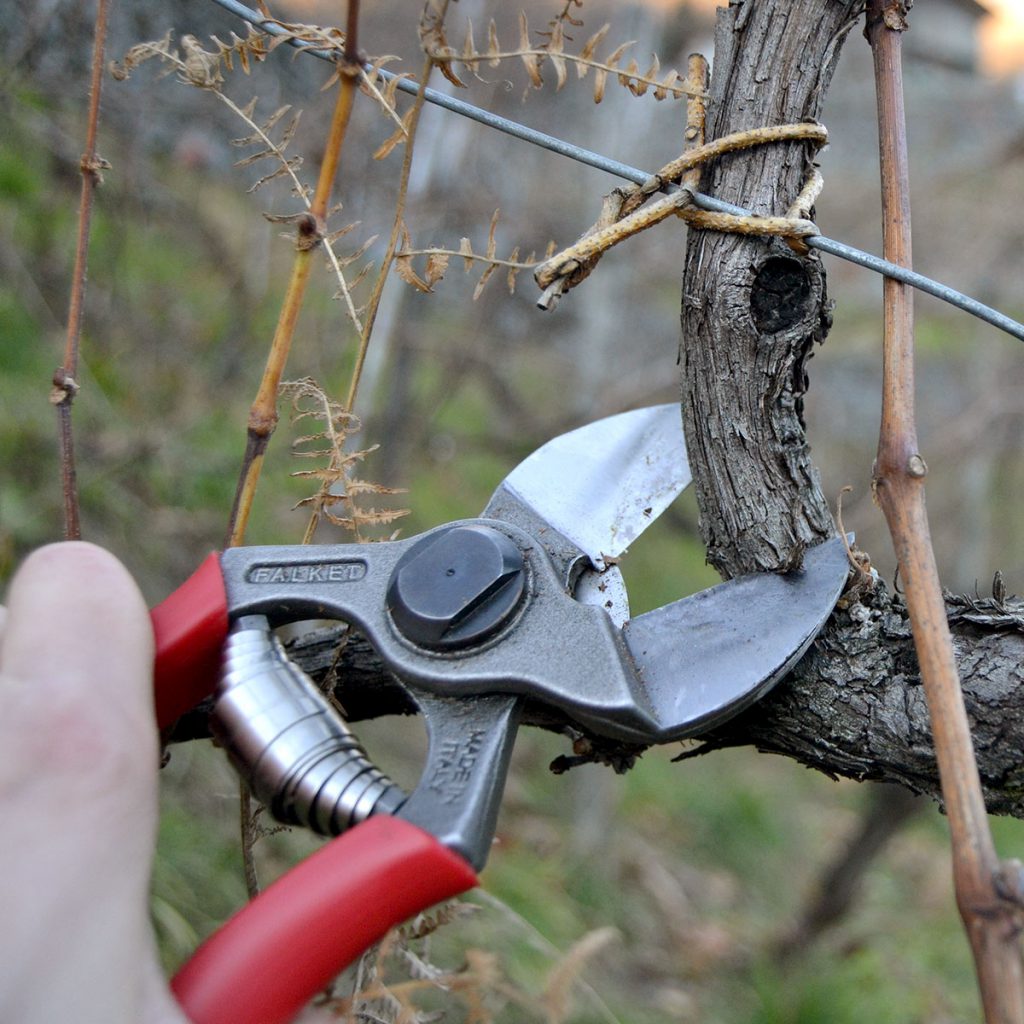 Hot forged pruning shears in 2209 steel with maxi out-axis fulcrum - Falket