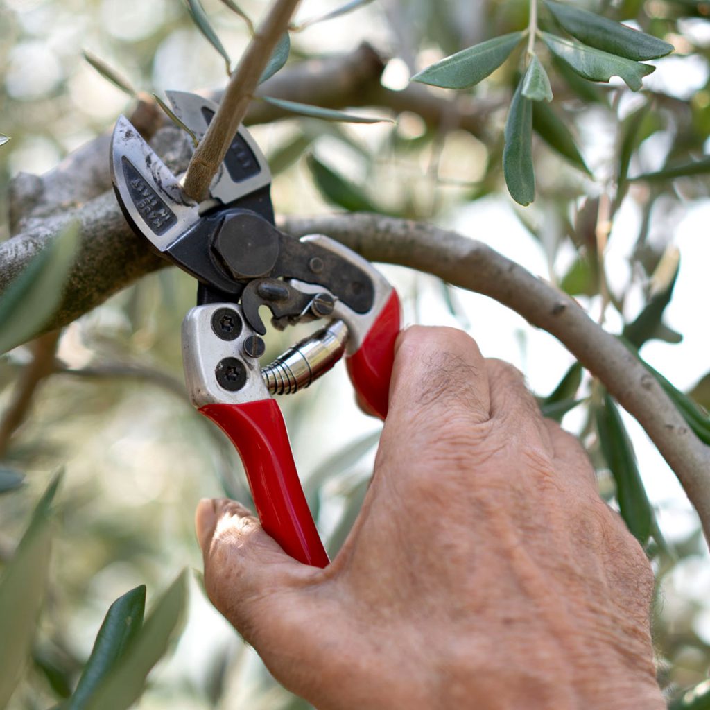 Pruning shears with aluminum handles 2012 evo - Falket